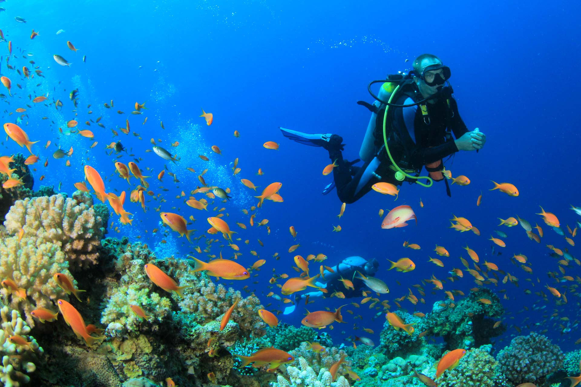 SSI Master Diver Challenge for 2024 announced - Scuba Diving Magazine