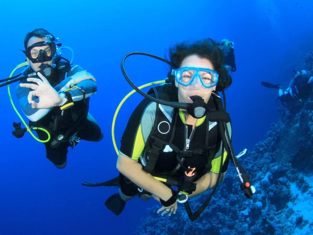 Master Liveaboards now operating in the Red Sea and the Maldives ...